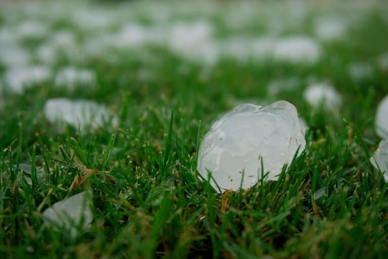 The Biggest Hailstone Ever Recorded—And How Much It Weighed - Animals ...