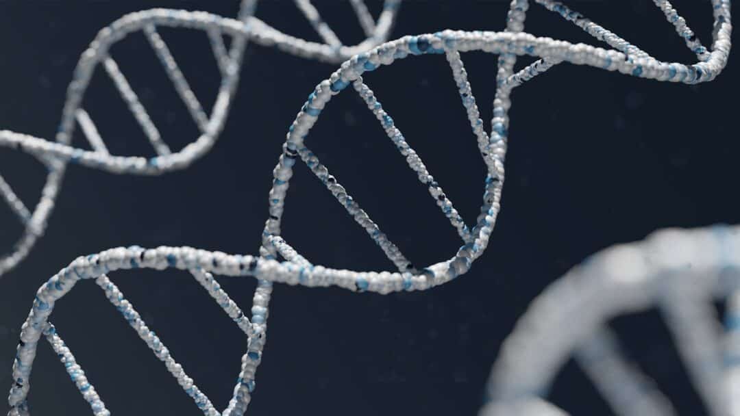 Resurrecting a Legend: Dire Wolves Return Through DNA - Animals Around ...