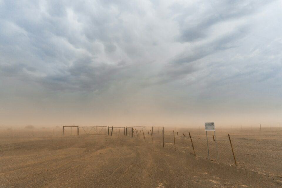The Largest Dust Storm Ever to Sweep Across the Midwest - Animals ...