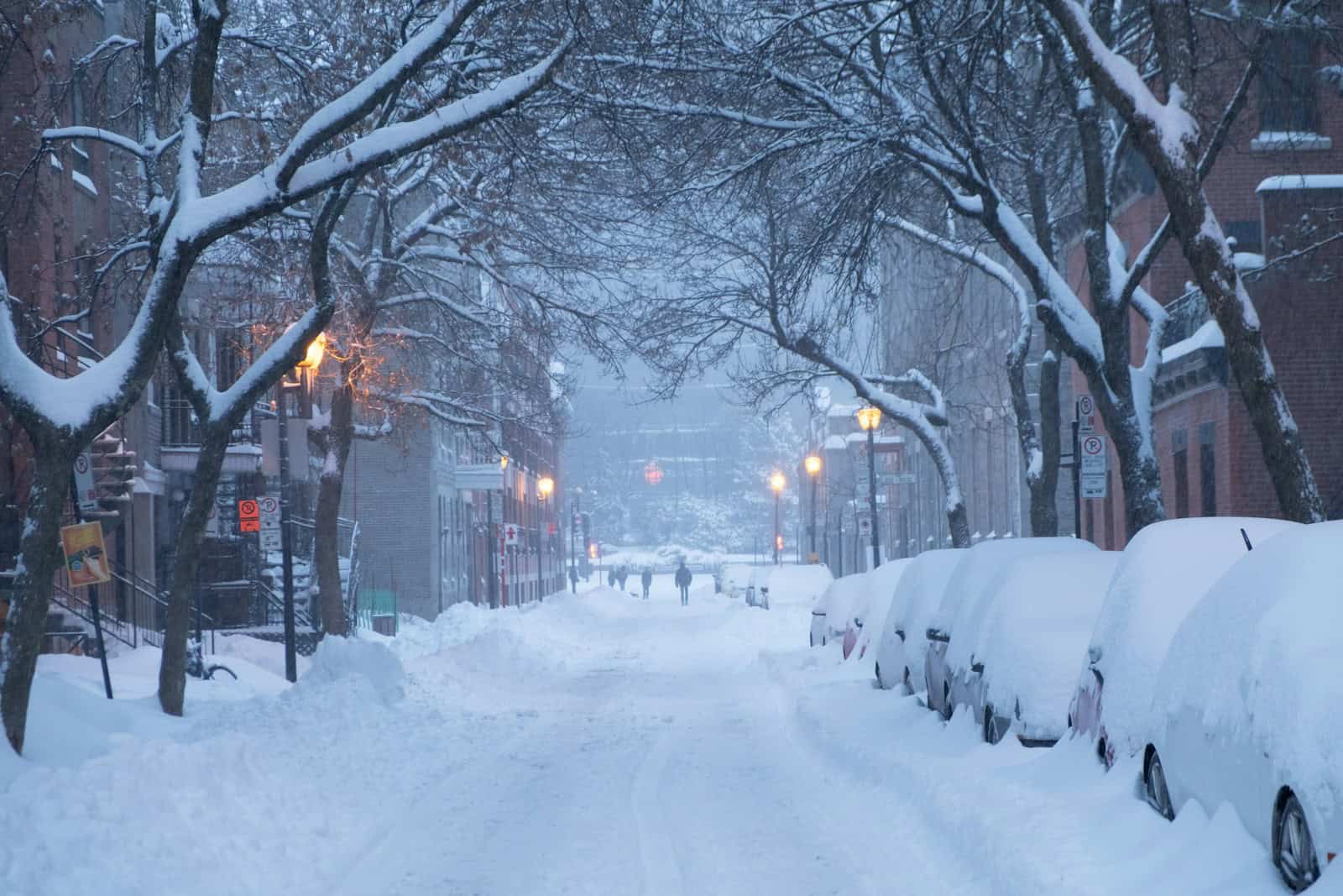 The Coldest Place on Earth Where Humans Actually Live - Animals Around ...