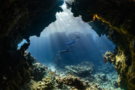 The Deepest Place in the Ocean—And the Strange Life It Holds - Animals ...