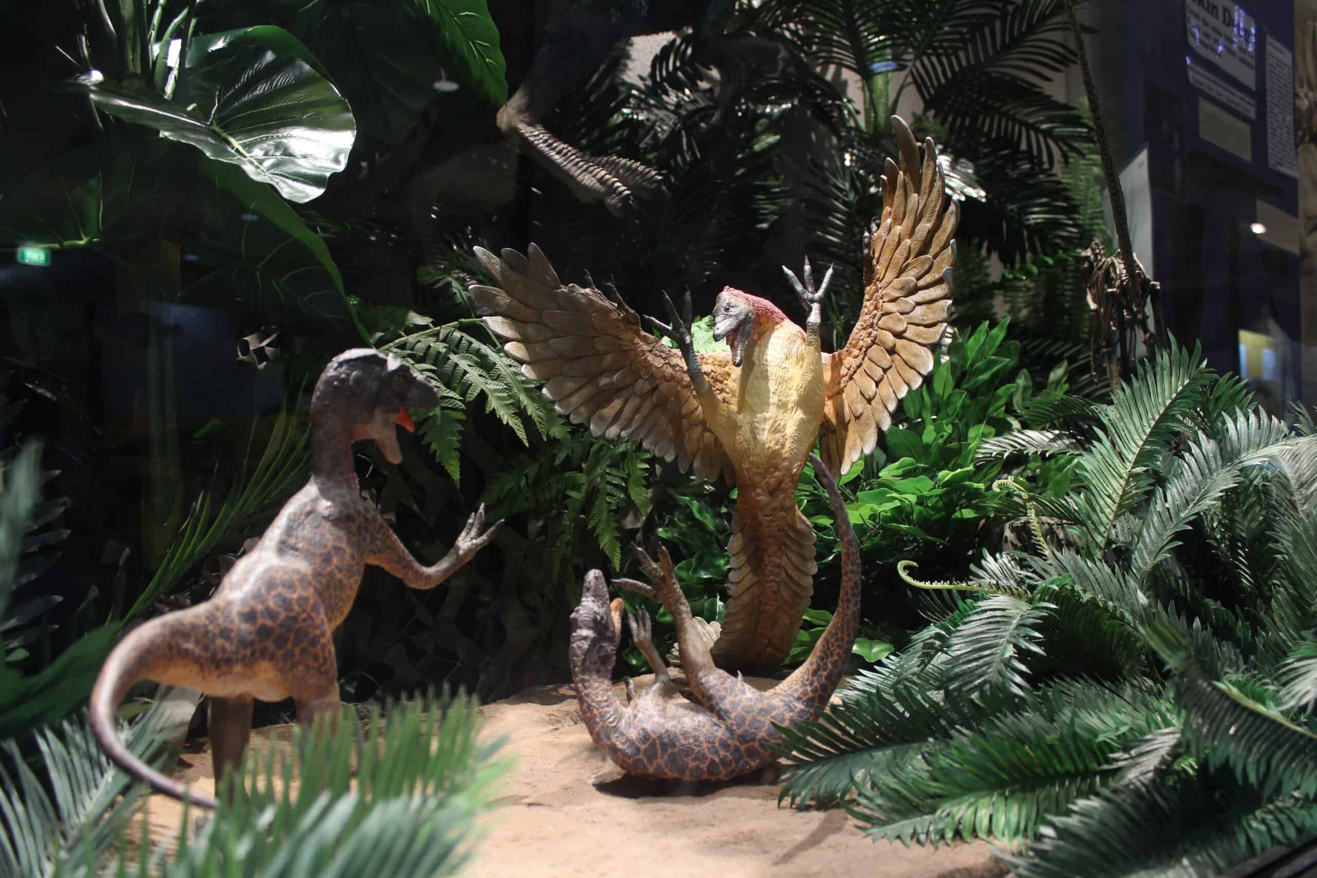 The Bird Fossil That’s Changing the Evolution Timeline - Animals Around ...