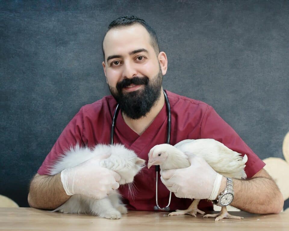 The Importance of Regular Vet Visits for Your Pet’s Health - Animals ...
