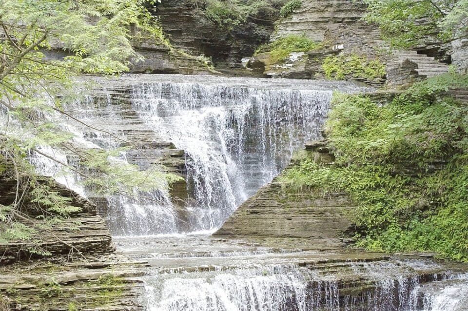 Clues to the First North Americans Found in Texas Cave - Animals Around ...