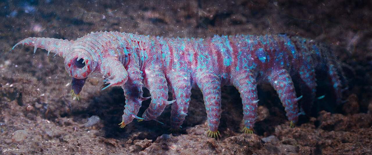 12 Wild Animals That Can Survive Nuclear Radiation - Animals Around The ...