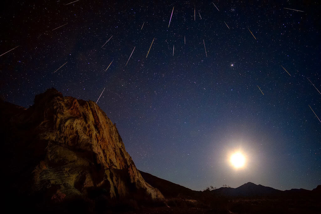 What NASA Saw Over Arizona During a Meteor Storm - Animals Around The Globe