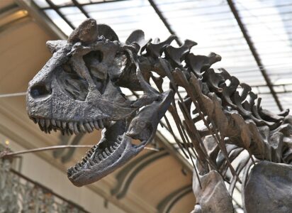 This Newly Unearthed Dinosaur Had 500 Teeth