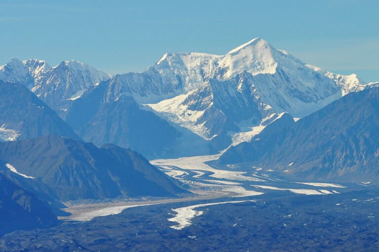 12 Places in America to Spot Rare Wildlife - Animals Around The Globe