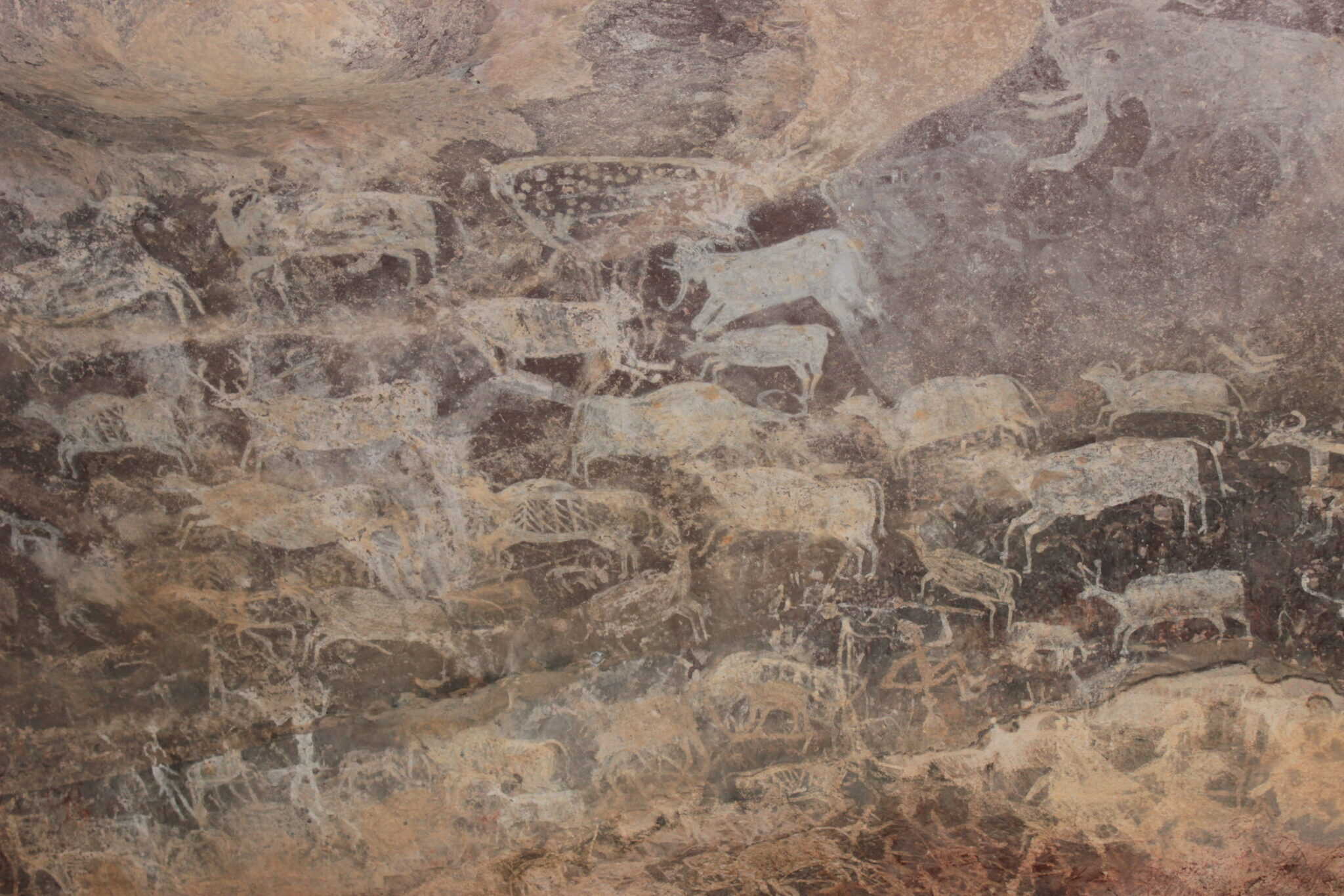 Newly Found Cave Paintings Rewrite Early Human History