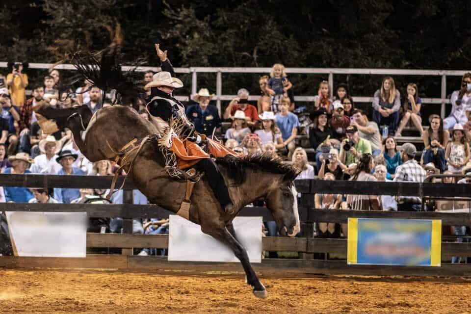 Inside the World of Competitive Rodeo Horses - Animals Around The Globe