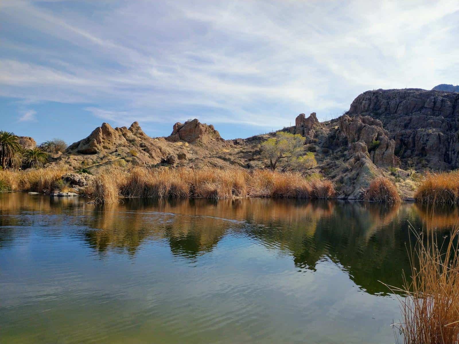 This U.S. Lake Has More Species of Fish Than Anywhere Else