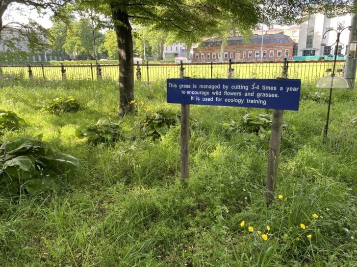 The Rewilding Projects Bringing Nature Back to U.S. Cities - Animals ...