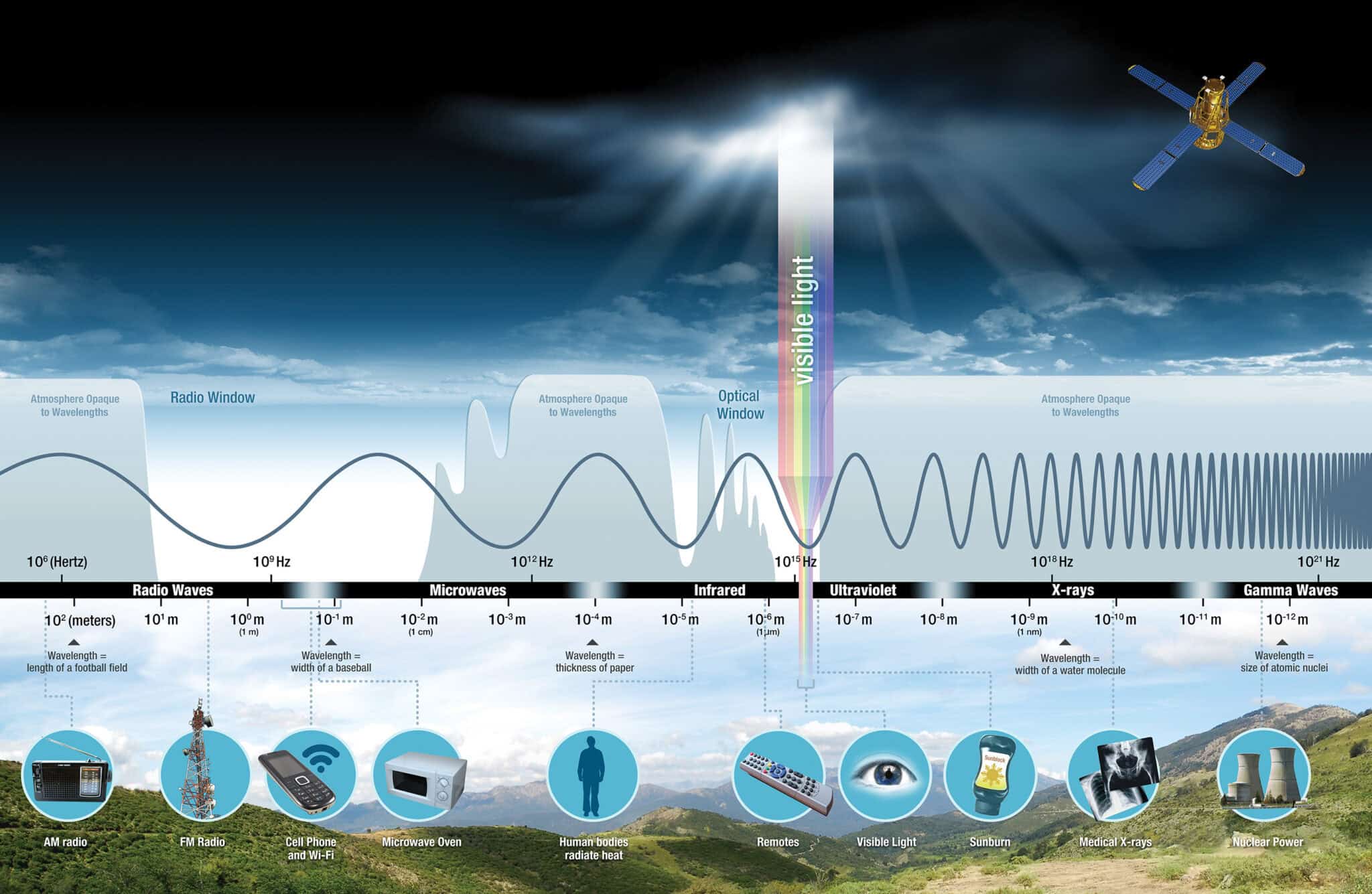 Why Some Animals See in Ultraviolet - Animals Around The Globe