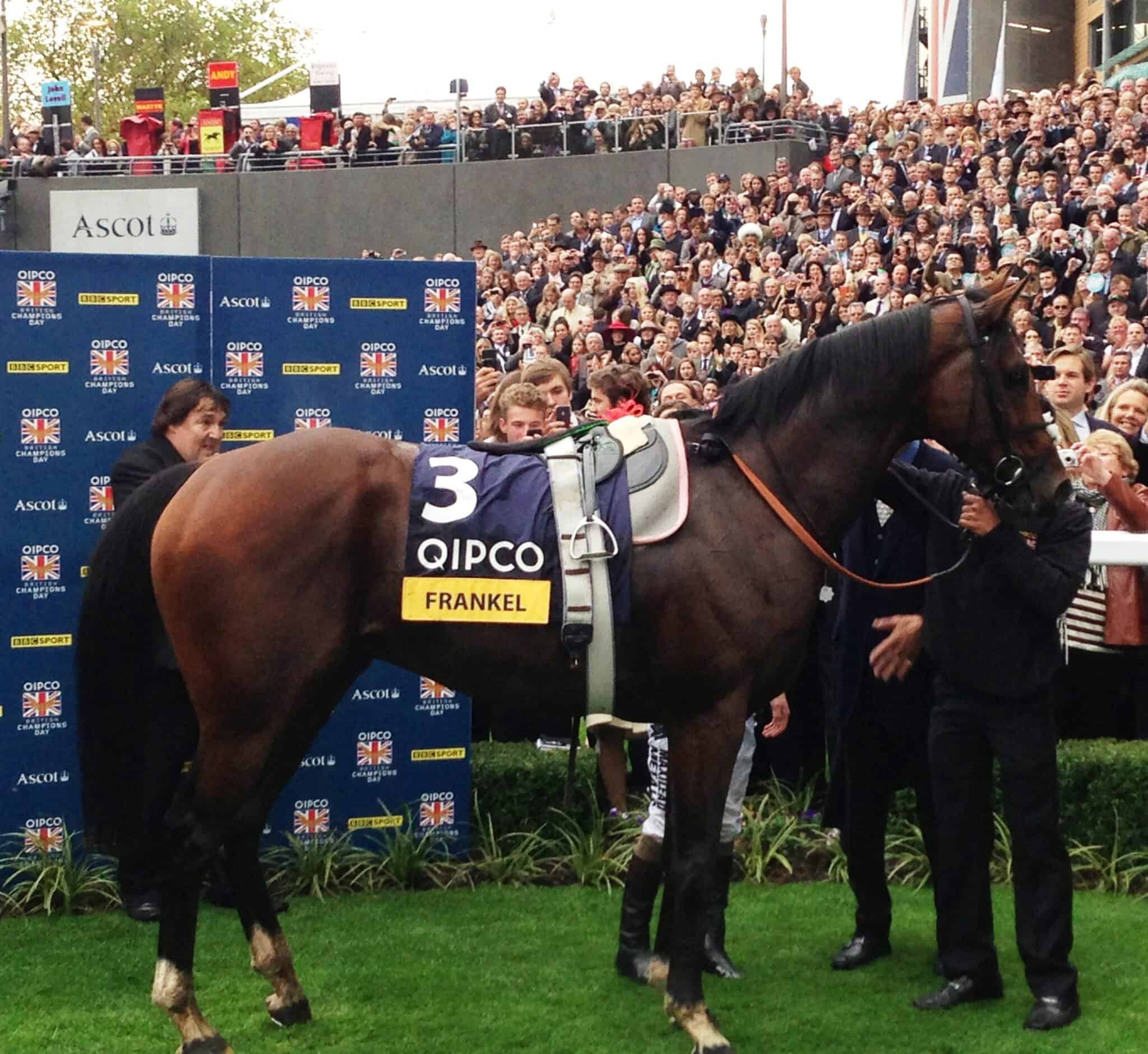 Famous Racehorses in History and Their Incredible Stories - Animals ...