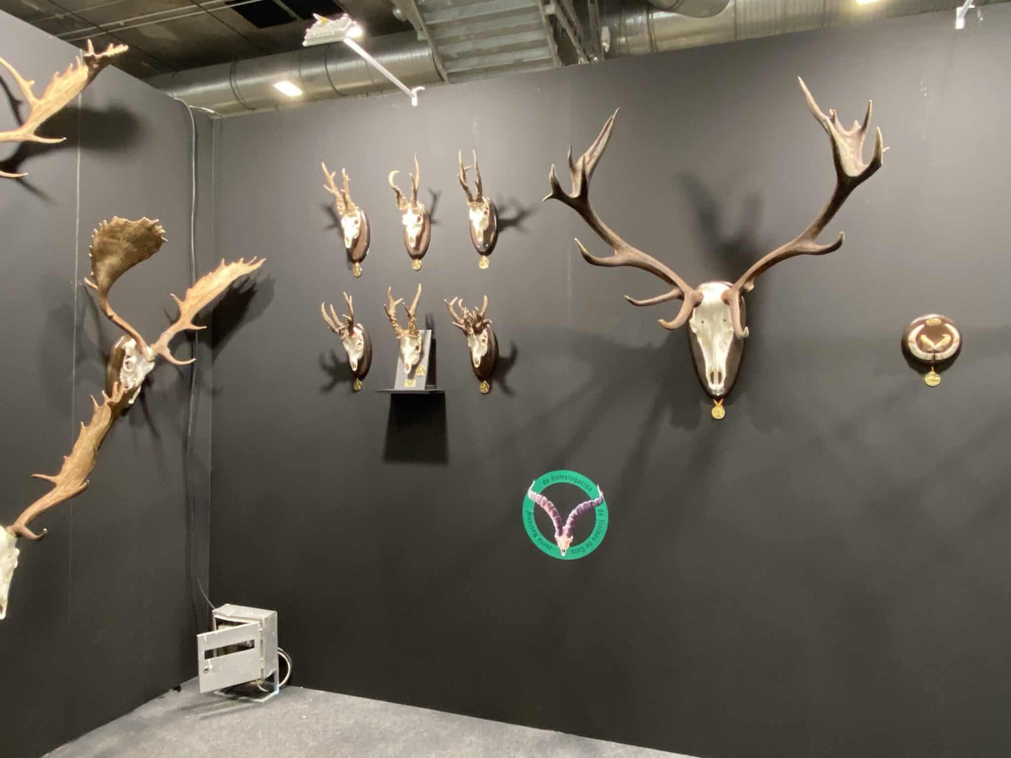 Inside the Billion-Dollar Trophy Hunting Industry: What You Didn’t Know