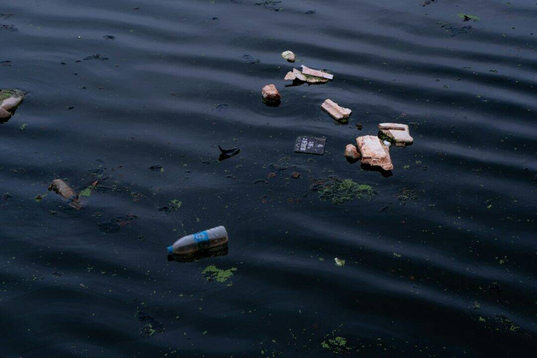 The Most Polluted Lake in the U.S. Just Had a Surprising Comeback ...