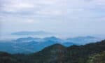 The Global Effort to Save the Saola, Asia’s “Unicorn” - Animals Around ...