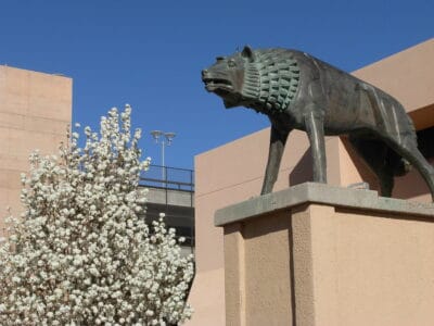 What Ancient Cultures Believed About Wolves