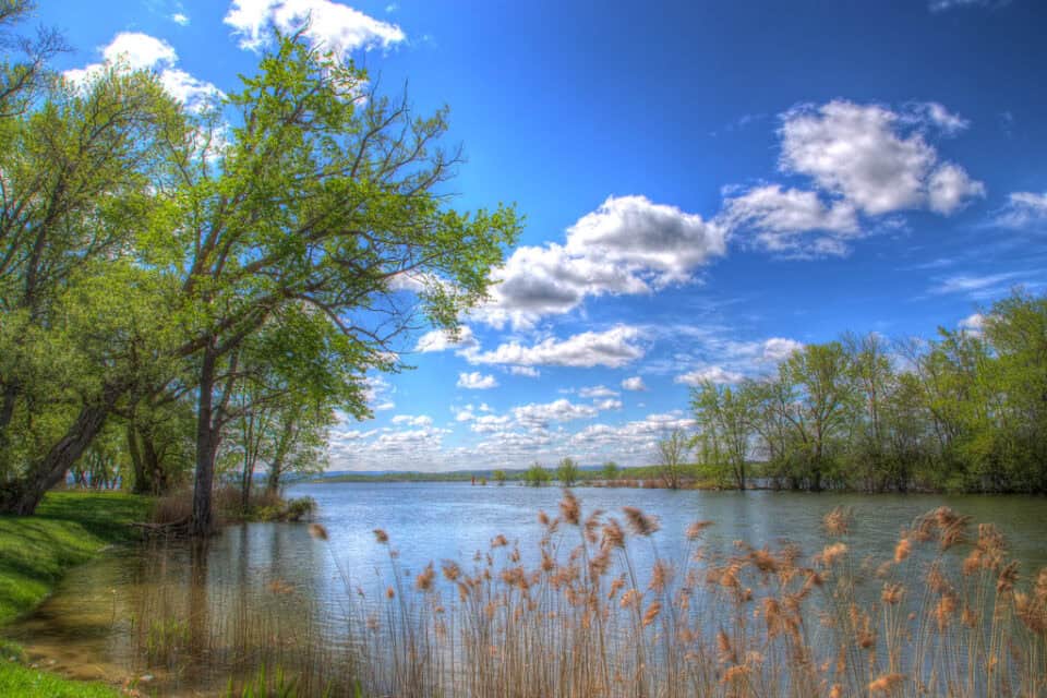 The Most Polluted Lake in the U.S. Just Had a Surprising Comeback ...