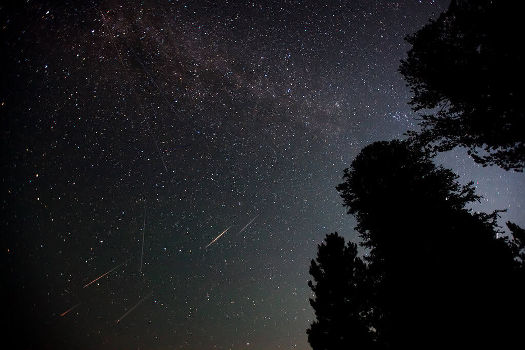 What NASA Saw Over Arizona During a Meteor Storm - Animals Around The Globe