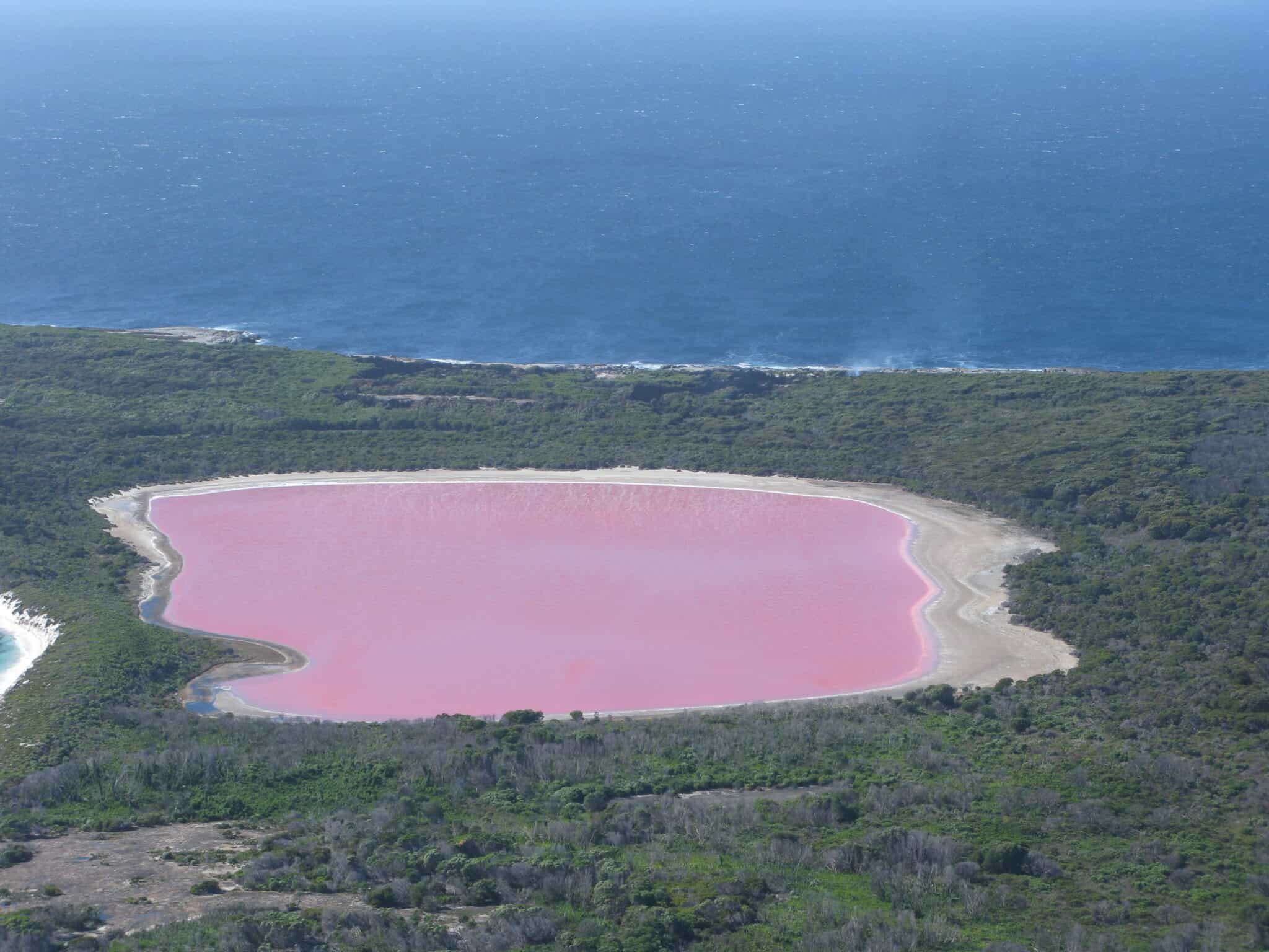 Wissenschaftler wissen immer noch nicht, warum dieser See rosa wird