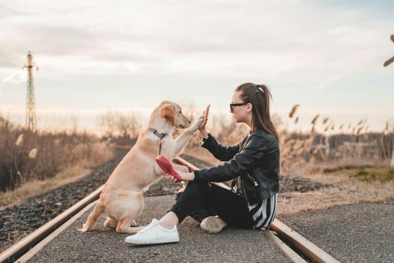 15 Pets That Are Perfect for Small Kids - Animals Around The Globe