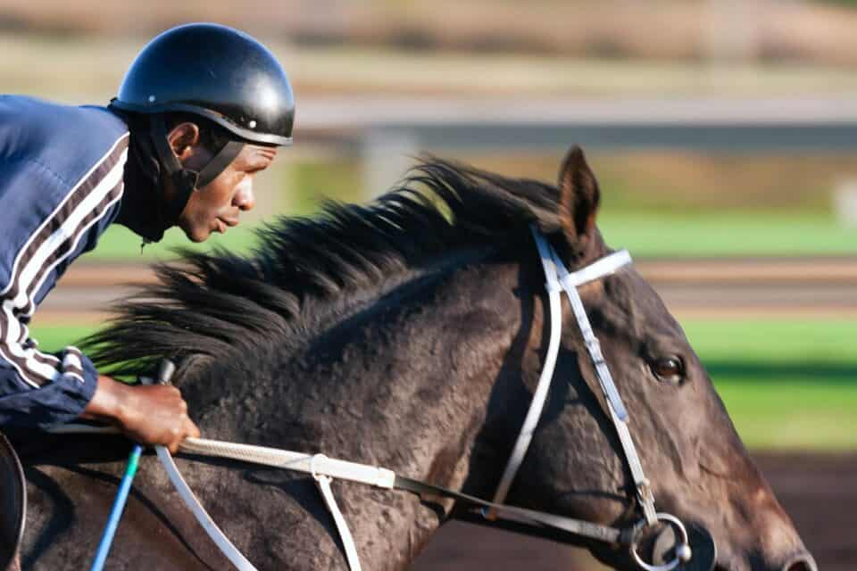 Why Thoroughbreds Dominate Racing Events Like the Kentucky Derby