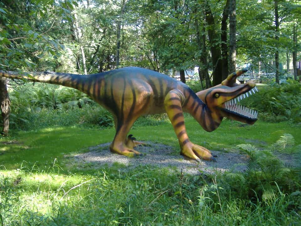 A Lizard Has the Same Gait as Velociraptors - Animals Around The Globe
