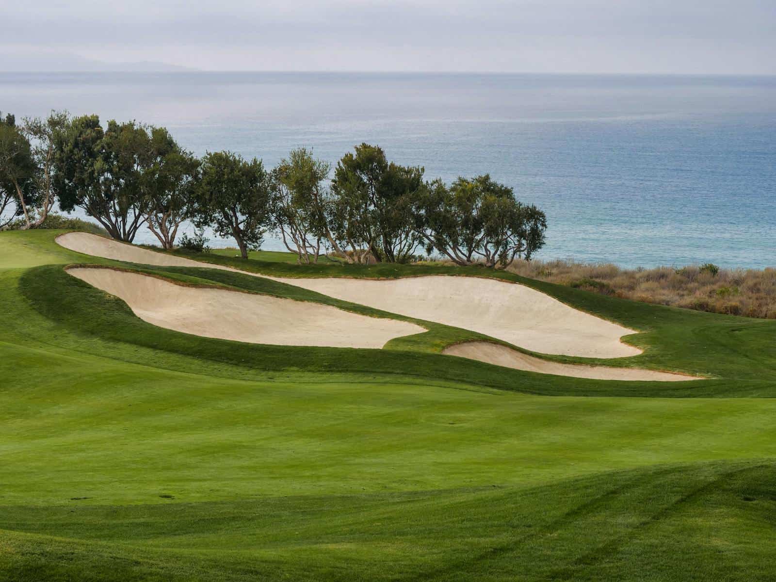 The Best Wildlife Spotted at Famous Golf Resorts