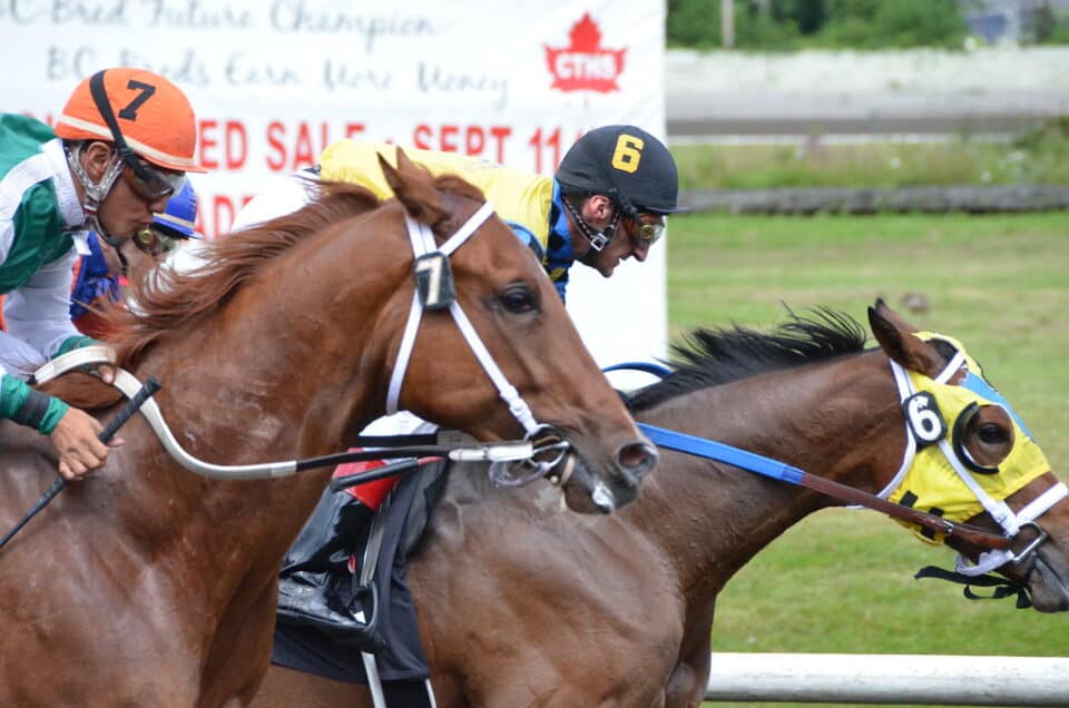 Why Thoroughbreds Dominate Racing Events Like the Kentucky Derby