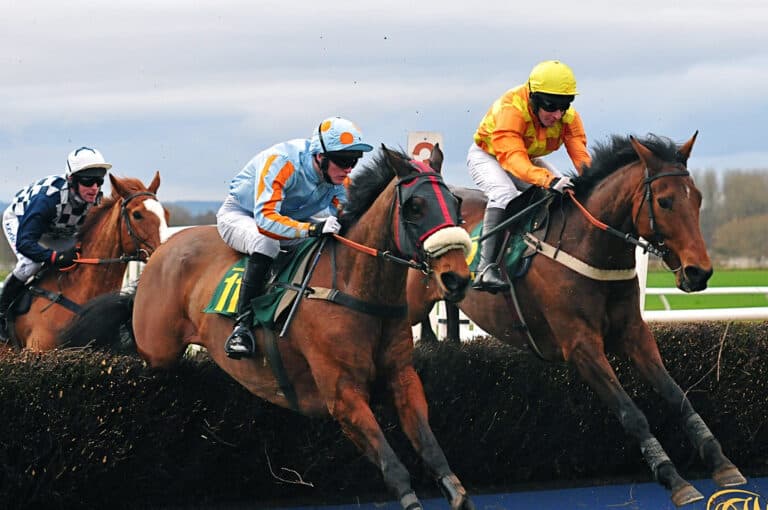 Why Thoroughbreds Dominate Racing Events Like the Kentucky Derby