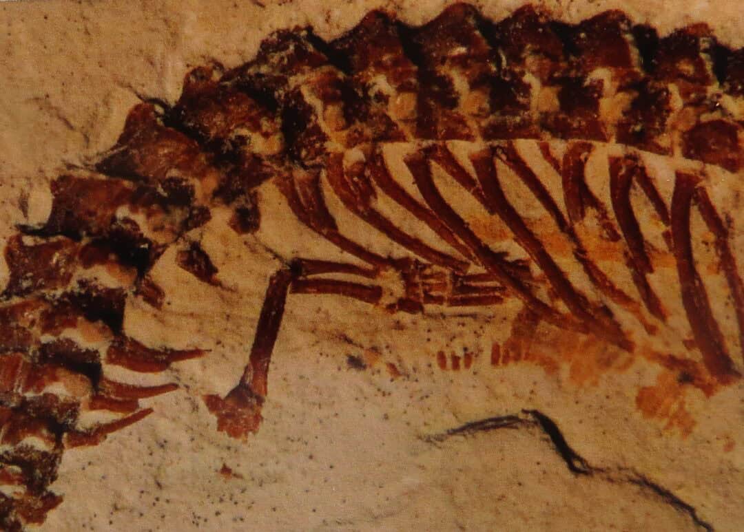 Fossilized Snake Had Four Legs