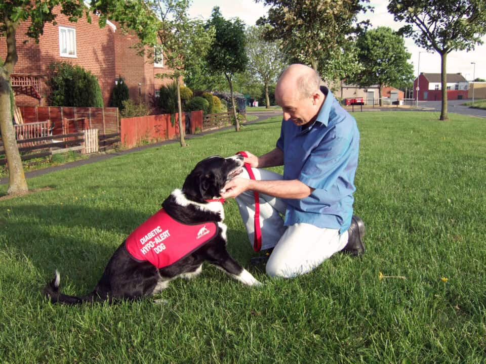 Can Animals Sense Human Illness? What the Science Says - Animals Around ...