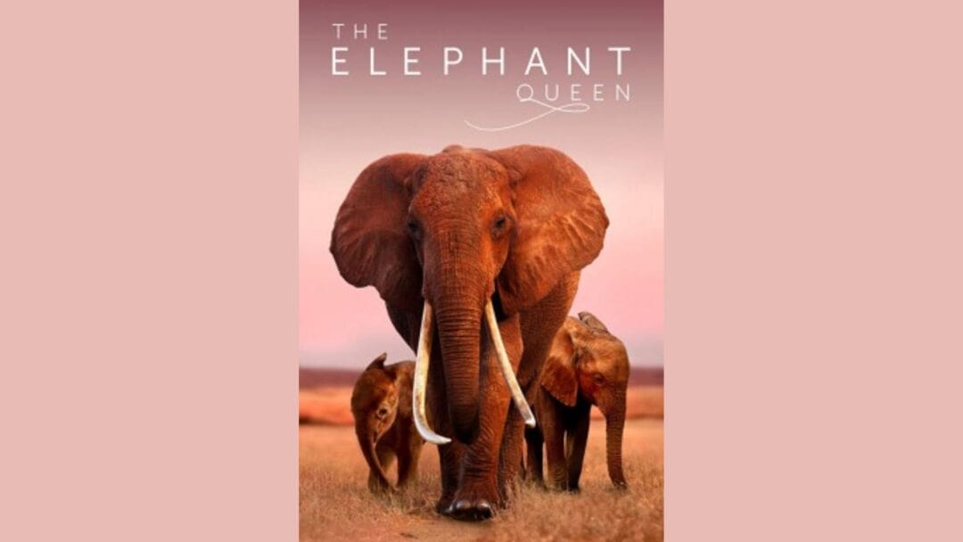 The Best Animal Documentaries You Need to Watch - Animals Around The Globe