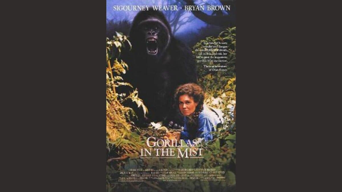 Wildlife Films That Changed Conservation Forever - Animals Around The Globe