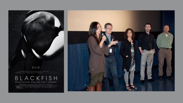 Wildlife Films That Changed Conservation Forever - Animals Around The Globe