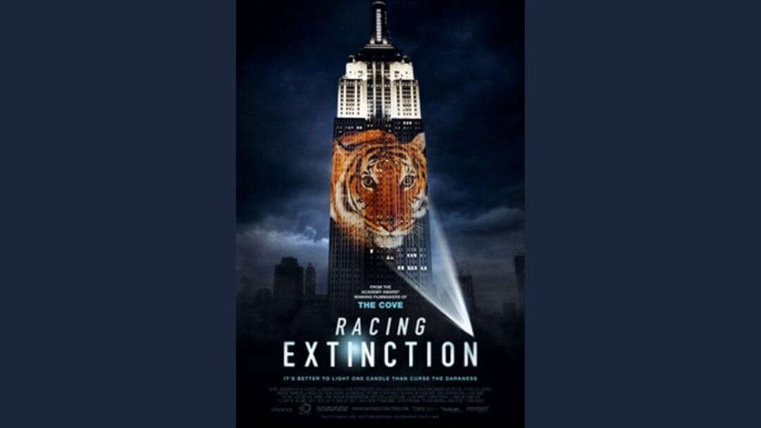 Wildlife Films That Changed Conservation Forever - Animals Around The Globe