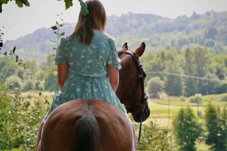 16 Ways Horses Have Helped Humans Over the Ages - Animals Around The Globe