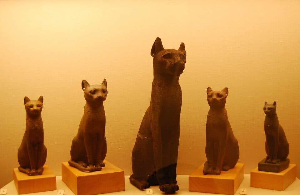 The Ancient History of Cats as Sacred Animals - Animals Around The Globe
