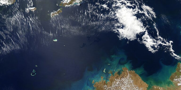 How Oil Spills Impact Marine Wildlife Along the Gulf Coast - Animals ...