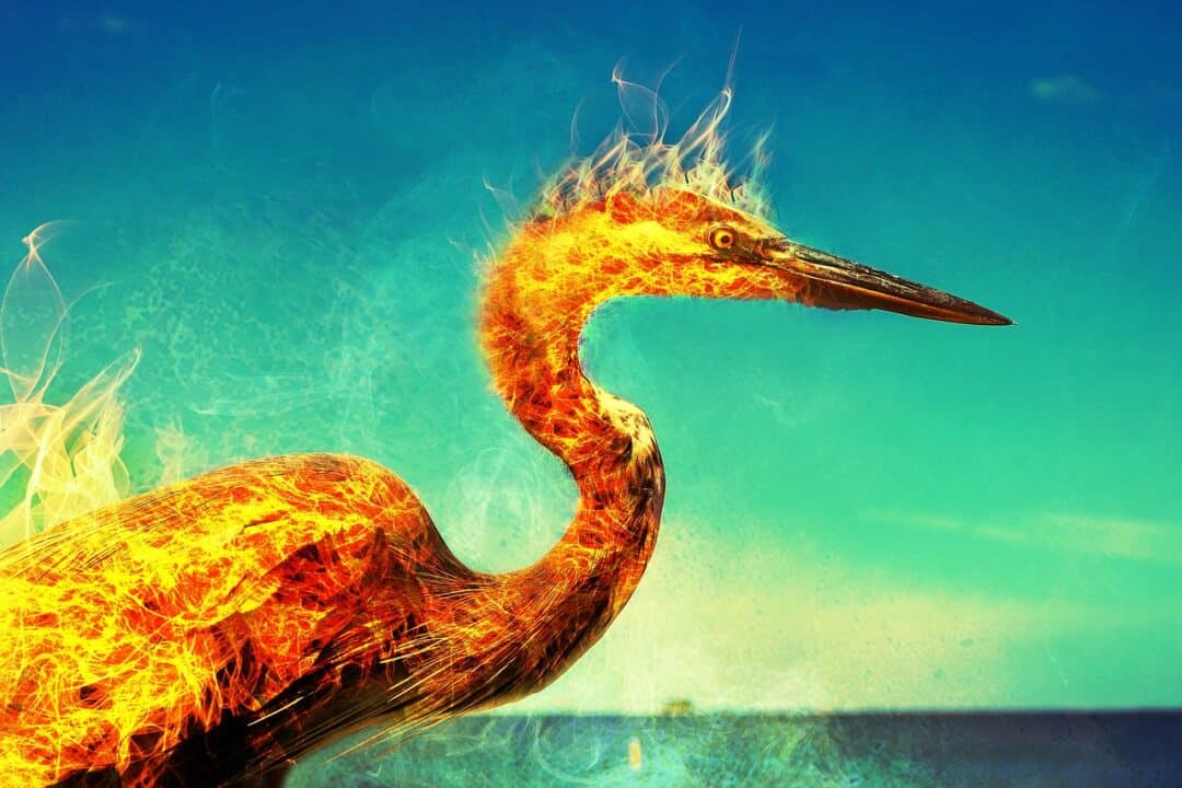 The Phoenix: Firebird of Rebirth from Many Cultures - Animals Around ...