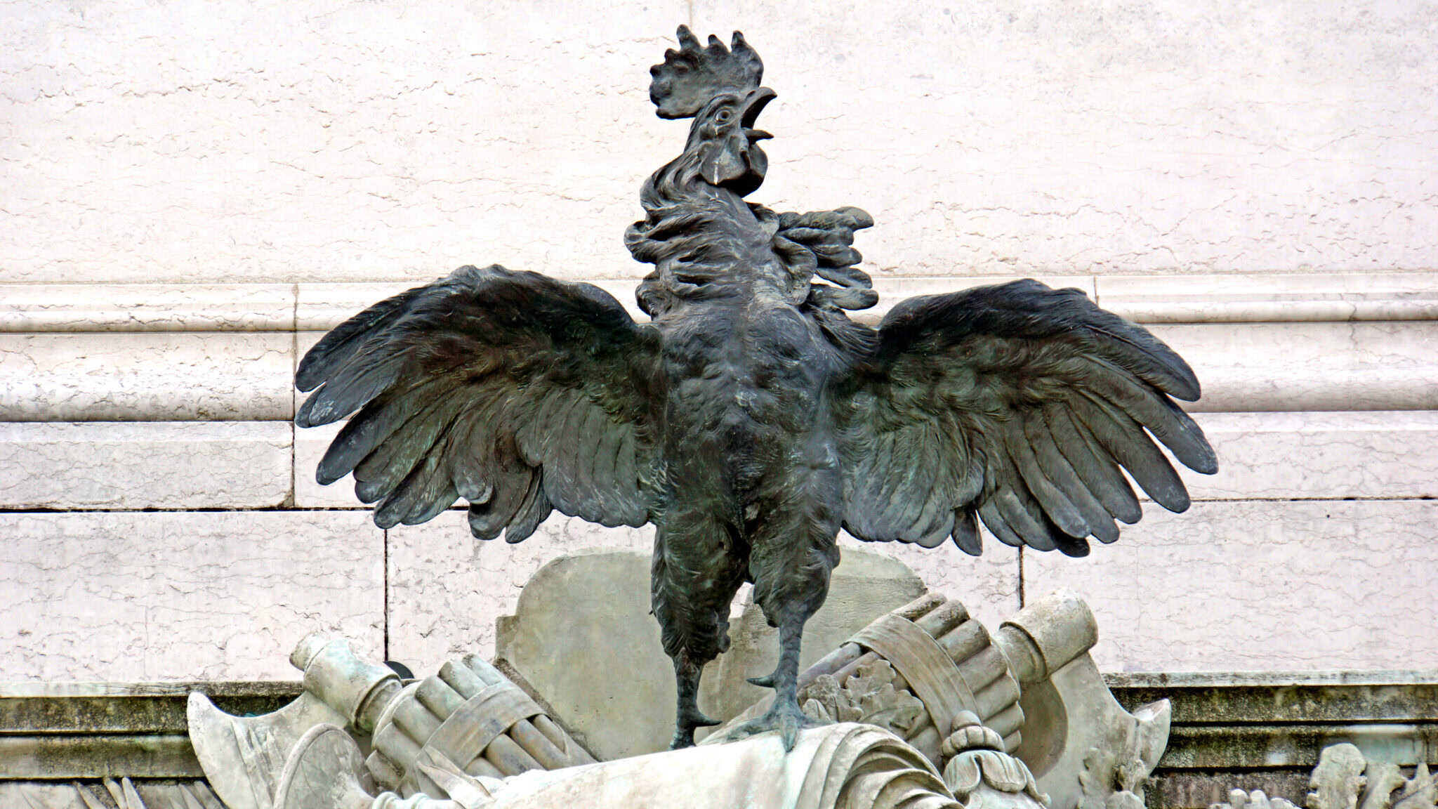 Why Roosters Crow at Sunrise (and All Day Long) - Animals Around The Globe