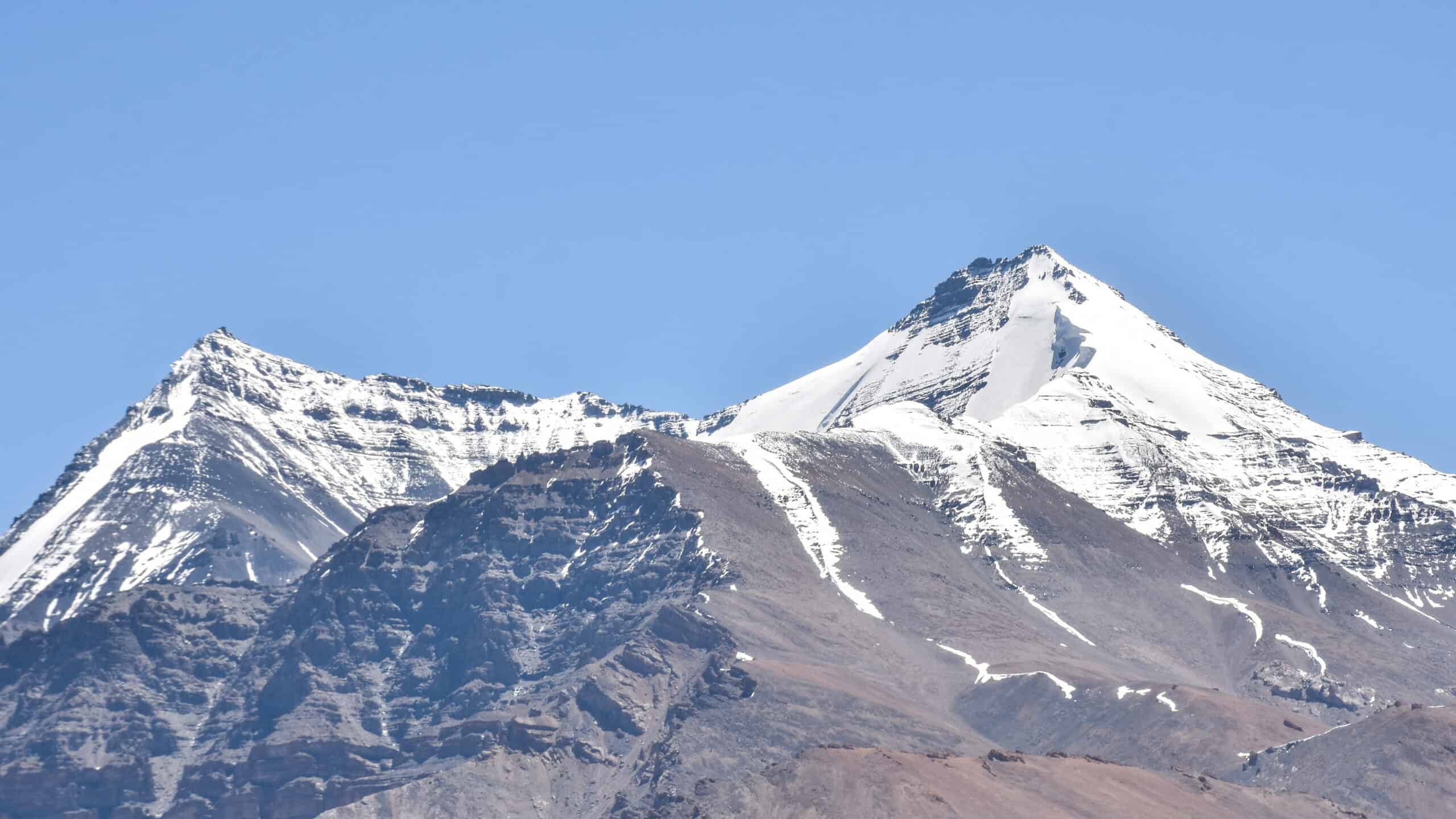 Where to Catch a Glimpse of Snow Leopards in the Mountains - Animals ...