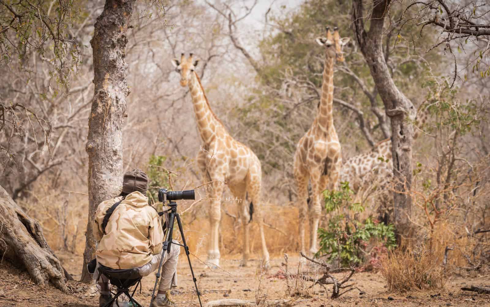 The Beginner’s Guide to Ethical Wildlife Photography - Animals Around ...