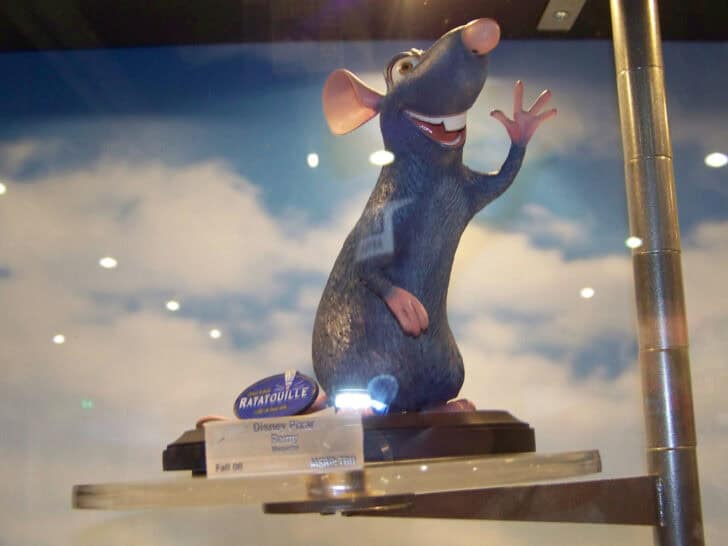 What Science Says About the Rats in Ratatouille - Animals Around The Globe