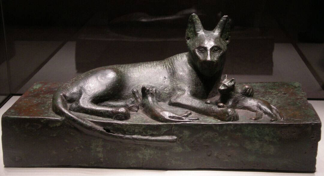 Cats in Ancient Egypt: From Pest Control to Goddesses