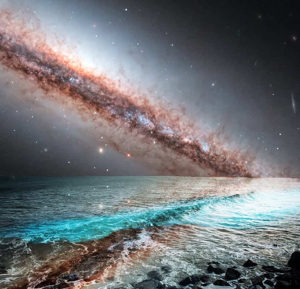 What It's Like to See Plankton Glow in Real Life - Animals Around The Globe
