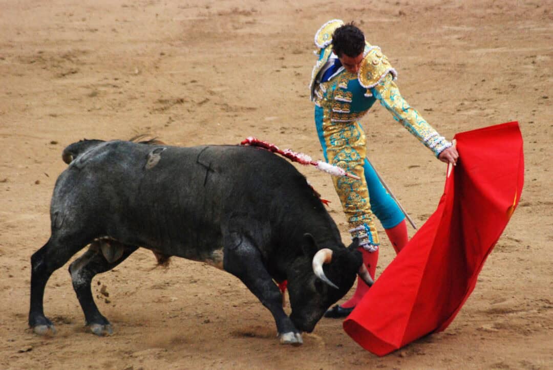 Why Bullfighting Still Exists—and the Growing Backlash