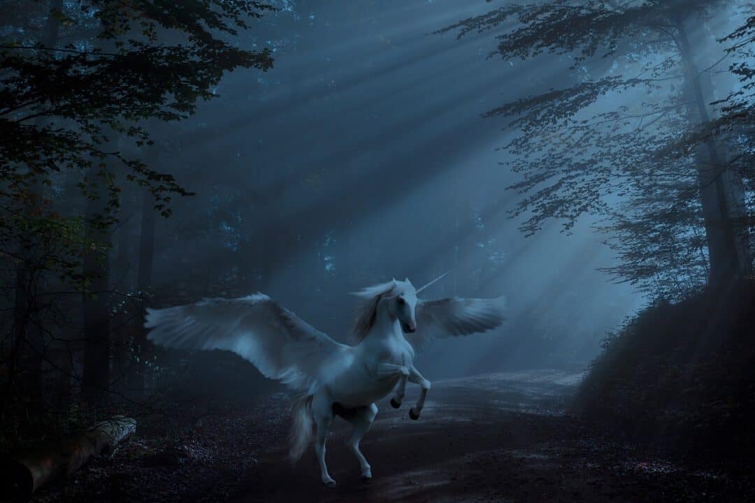 Unicorns: The Mythical Beasts That Never Fade - Animals Around The Globe