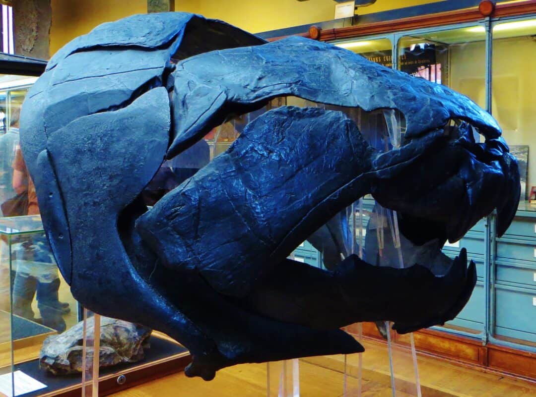 Dunkleosteus: The Armored Fish With Bone-Crushing Jaws